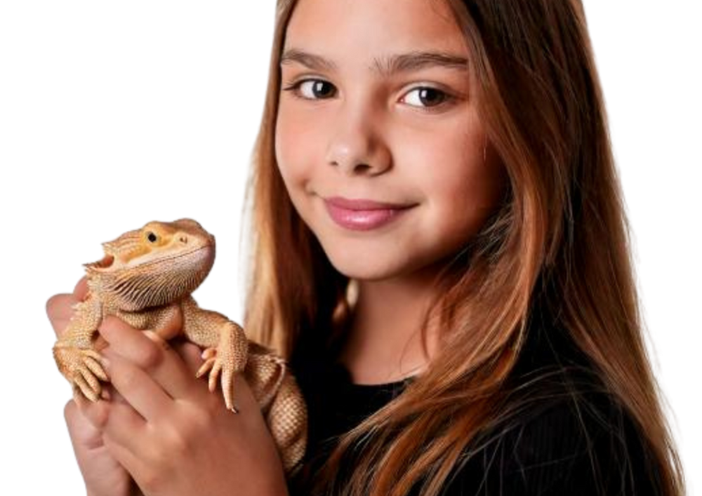 Turtles For Sale | Sydney NSW