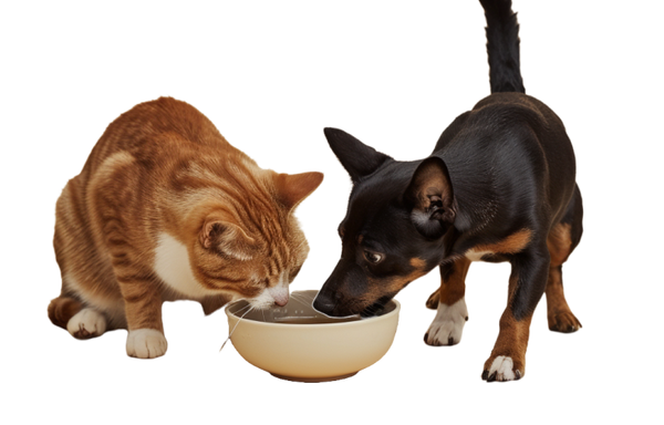 Wombaroo Nectar Shake 'N' Make 100g